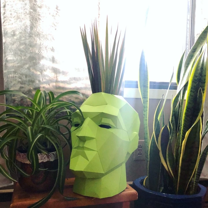Head 3d papercraft. You get a PDF digital file template and ...