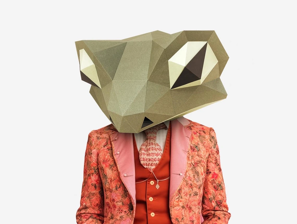 DIY Toad Mask Template, Paper Craft, DIY Printable Mask, Instant Pdf ...