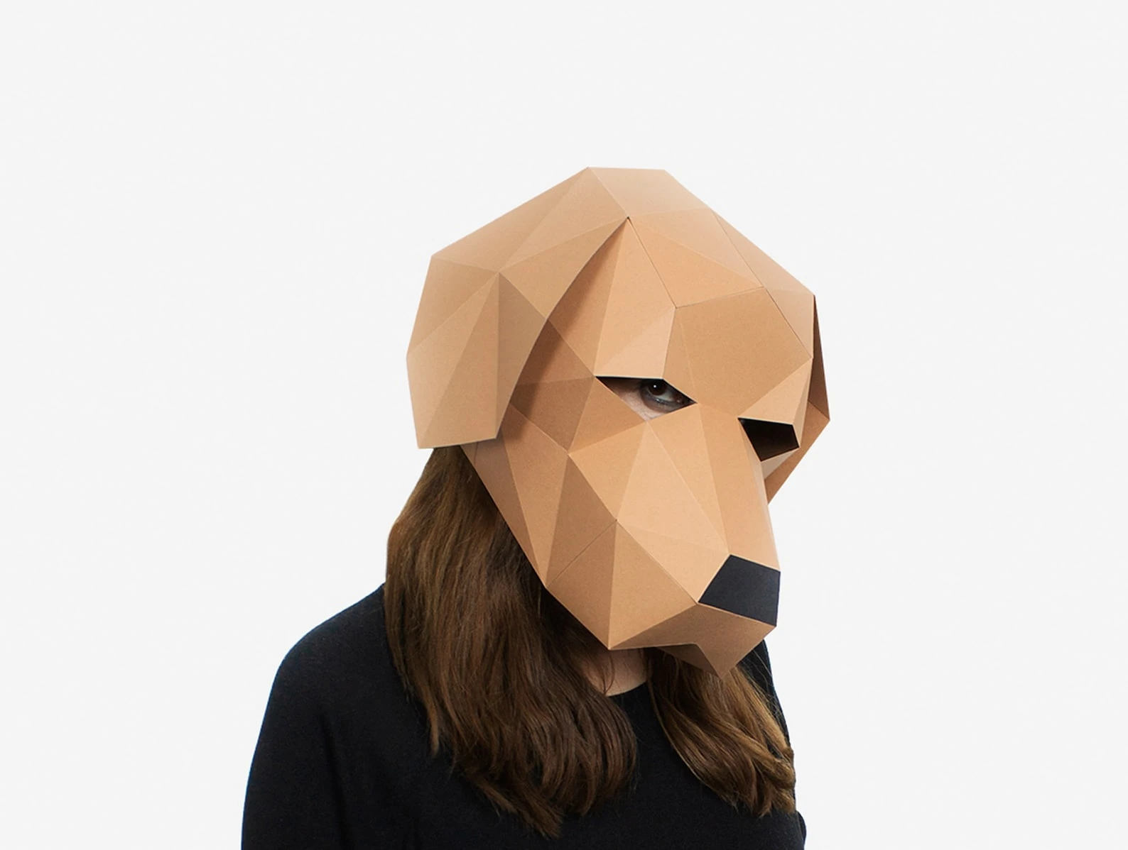 Labrador Mask, Dog Paper Craft Template, DIY Printable Animal Mask ...