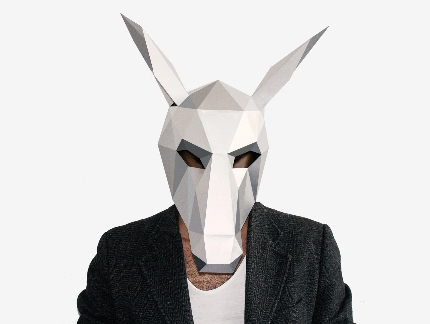 DIY Donkey Mask, Low Poly Paper Craft Template, DIY Printable Mask ...
